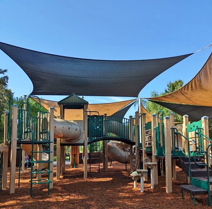 Even T-Rex's kids need a playground! These shaded structures offer modern fun after a day of prehistoric education—no extinction-level events allowed.