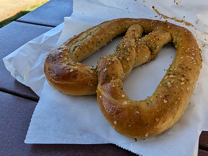This isn't just any pretzel; it's the Michelangelo of pretzels – perfectly twisted, gloriously burnished, and waiting to fulfill its carb destiny.