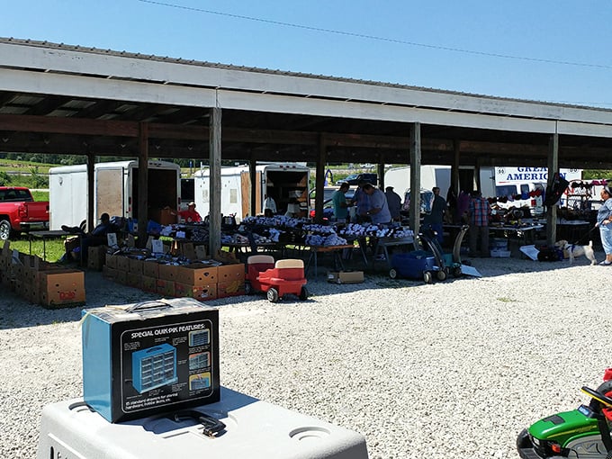 The ultimate pop-up hardware store. From socket sets to extension cords—everything needed for projects you'll start but possibly never finish.