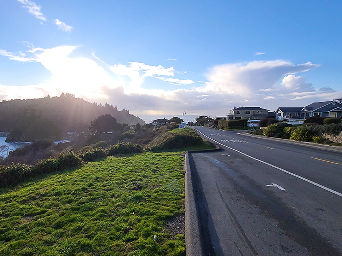 This isn't just a road—it's the ribbon that ties Trinidad's package of coastal perfection together, with ocean views that make every drive a scenic event.