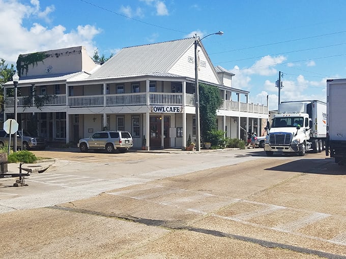 The Owl Café anchors a corner of Apalachicola history, serving up seafood classics in a building that's witnessed generations of hungry visitors.