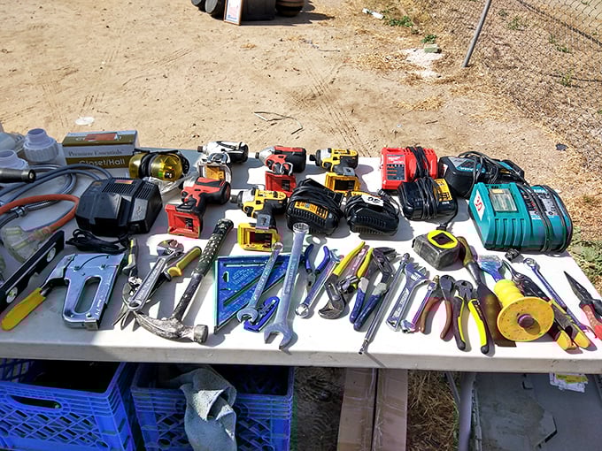 A handyman's dream spread out under the California sun. These tools have stories to tell and projects yet to complete.