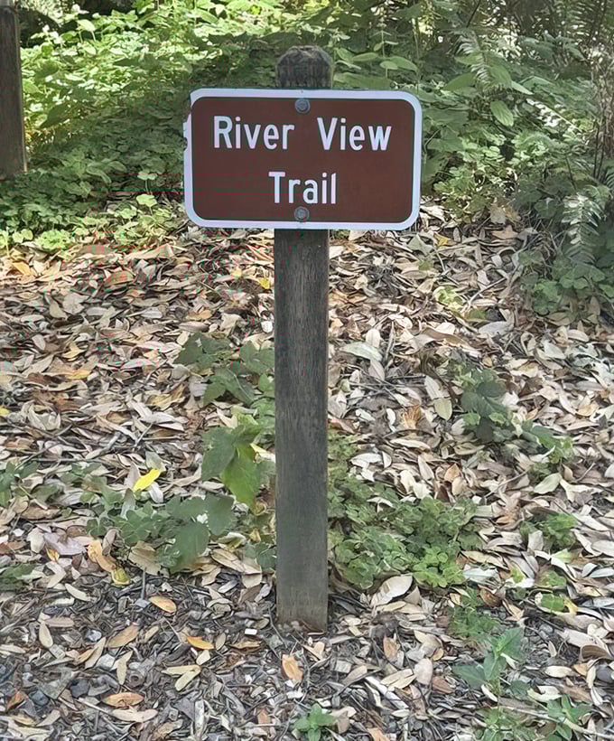 Signs that point to adventure. The Riverview Trail doesn't just promise views—it delivers them in spectacular high definition.