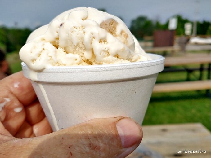 Vanilla that's anything but—this scoop proves that sometimes the classics deserve their status for a reason. Simple perfection in a cup.