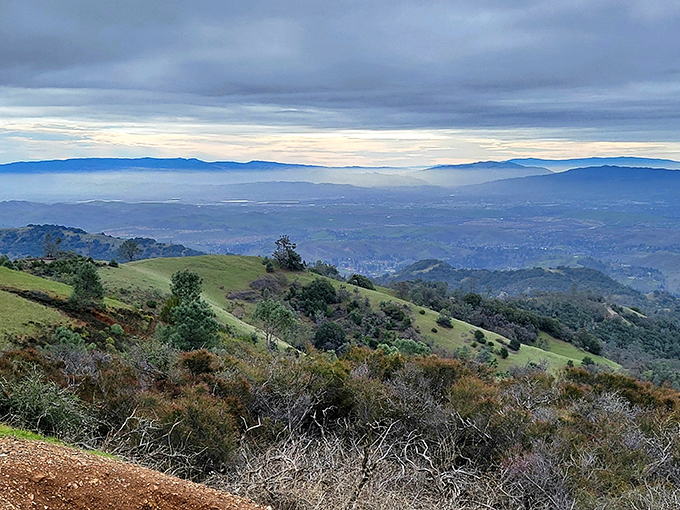 When the marine layer rolls in, you're treated to a cotton candy landscape that makes you feel like you're floating above the clouds.