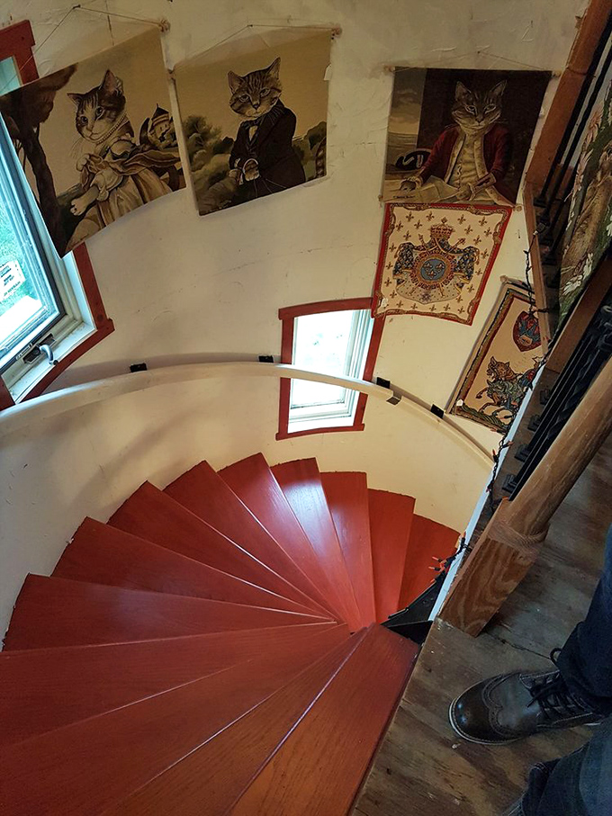 The spiral staircase isn't just architecturally stunning—it's adorned with whimsical portraits of aristocratic felines who seem to judge your ascent.