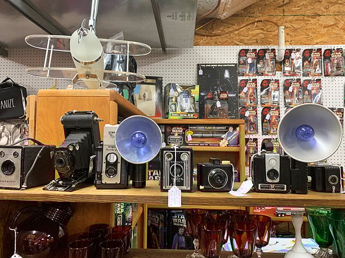 These vintage cameras once captured family memories on film – now they're memories themselves, waiting for new appreciation.