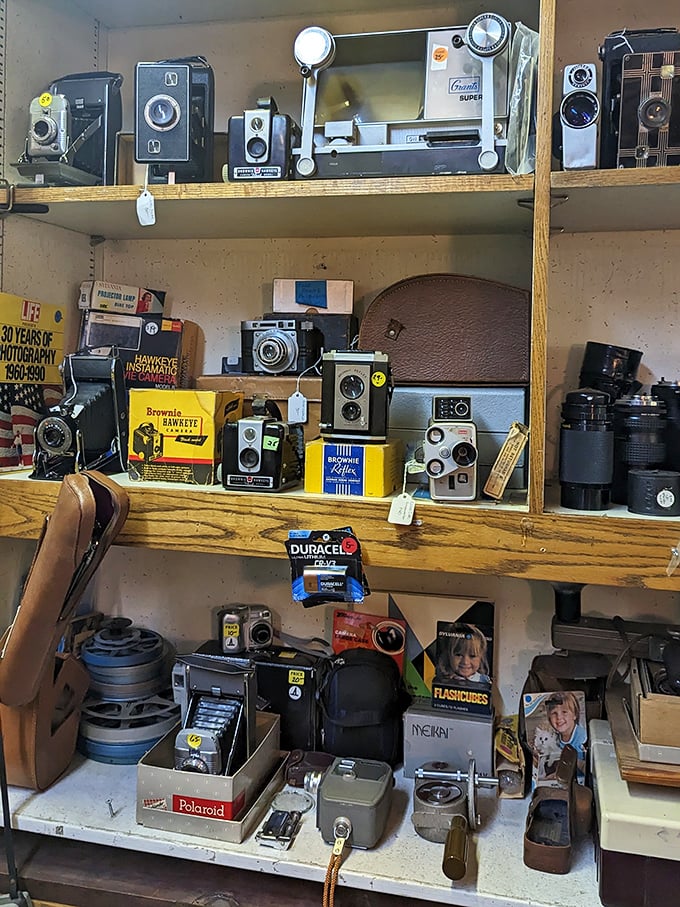A photographer's dream—cameras that captured weddings, birthdays, and vacations long before smartphones made everyone a documentarian.