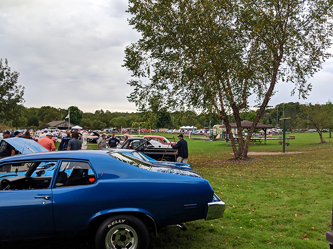 Classic cars and community spirit—when Aurora locals gather at Sunny Lake Park, stories flow as freely as the nearby waters.
