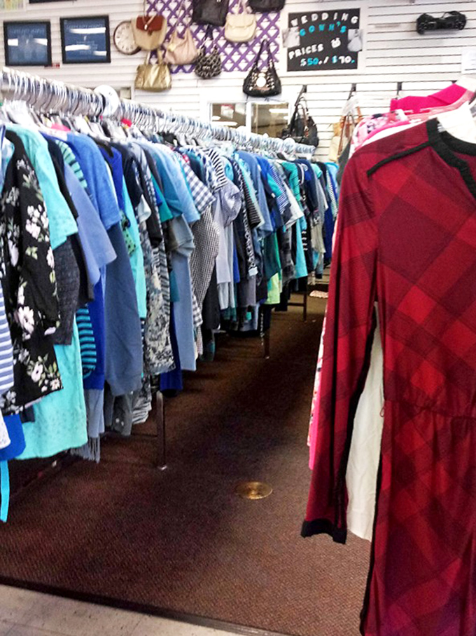 Blues, teals, and a pop of red plaid—this clothing section offers more variety than my attempts at sticking to a diet.