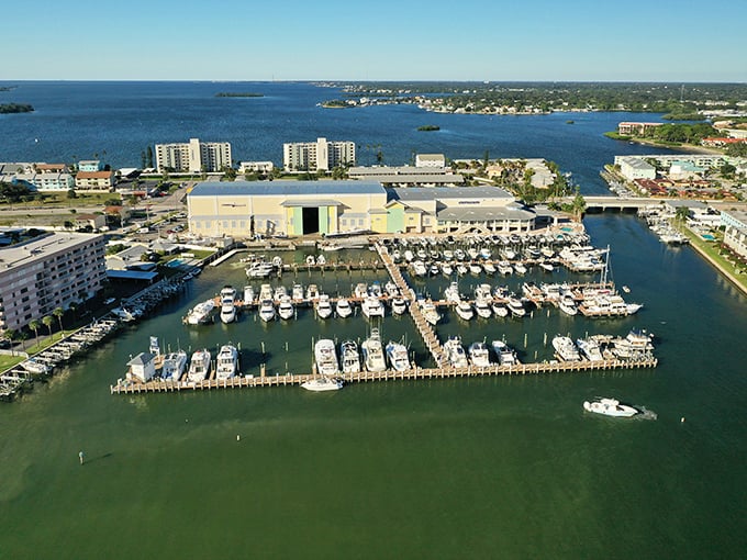 Dunedin’s marina sparkles in the sun offering the perfect spot for boating adventures and soaking in coastal Florida beauty.