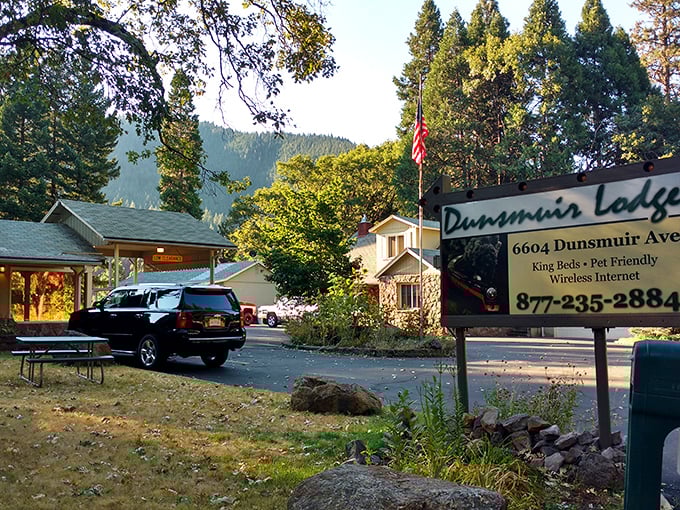 Dunsmuir's historic railroad heritage chugs along beside modern-day charm – where trains still rumble through town like clockwork. 