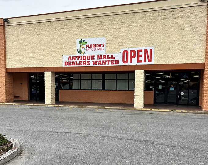 "Dealers Wanted" – the siren call of an antique mall that's always evolving, always surprising, and never the same place twice.