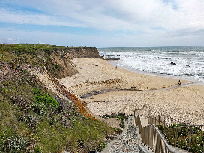 Half Moon Bay's dramatic coastline shows Mother Nature's artistic side – sculpting cliffs and beaches with the patience of millennia.