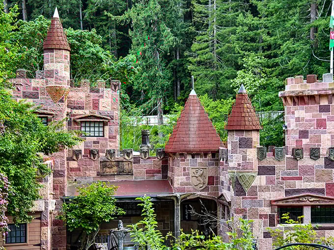 Howden Castle: Stone towers and rustic wooden gates create a medieval fortress hidden among the redwoods—California's secret Camelot.