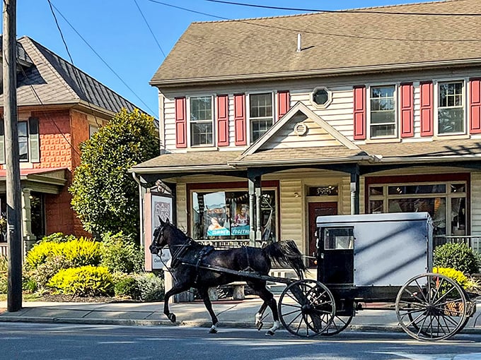 An Amish buggy with a sleek black horse passes by charming storefronts in Intercourse - everyday transportation becomes a photo opportunity.