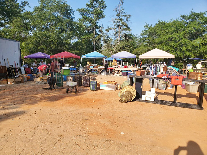 Open-air treasure hunting! J&J's colorful tents create a festival atmosphere where bargains hide under every canopy.