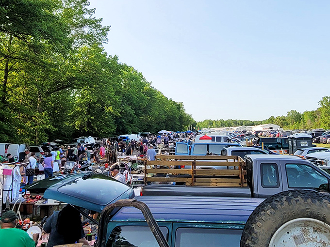 Jamie's Flea Market draws the crowds! The outdoor section fills with shoppers hunting everything from practical necessities to whimsical collectibles.