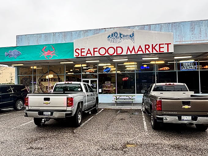 Behind that straightforward seafood market facade lies a pizza operation that would make Tony Soprano weep with joy.
