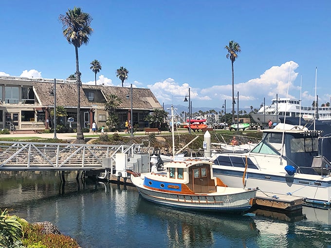 Oxnard's pristine beaches offer champagne views on a beer budget. Who said California coastal living was only for the wealthy?