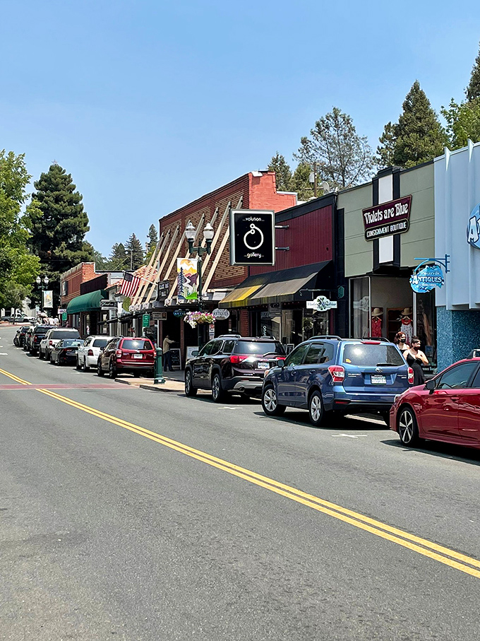 Placerville's historic Main Street—where Gold Rush dreams and modern mountain living create the perfect small-town cocktail.