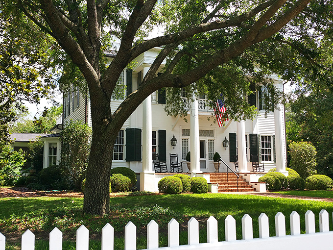 Quincy's tree-lined downtown square offers shade and Southern charm – Mother Nature's own air conditioning system at work!