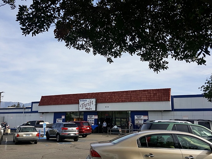 Redlands Thrift Store looks like it holds secrets – the kind that involve vintage leather jackets and perfectly broken-in cowboy boots at astonishing prices.