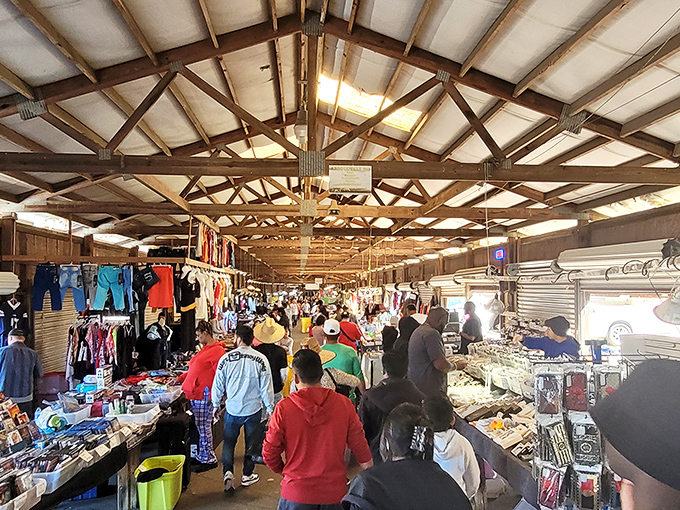 White Horse Flea Market's rustic charm sets the stage for serious bargain hunting in Greenville.