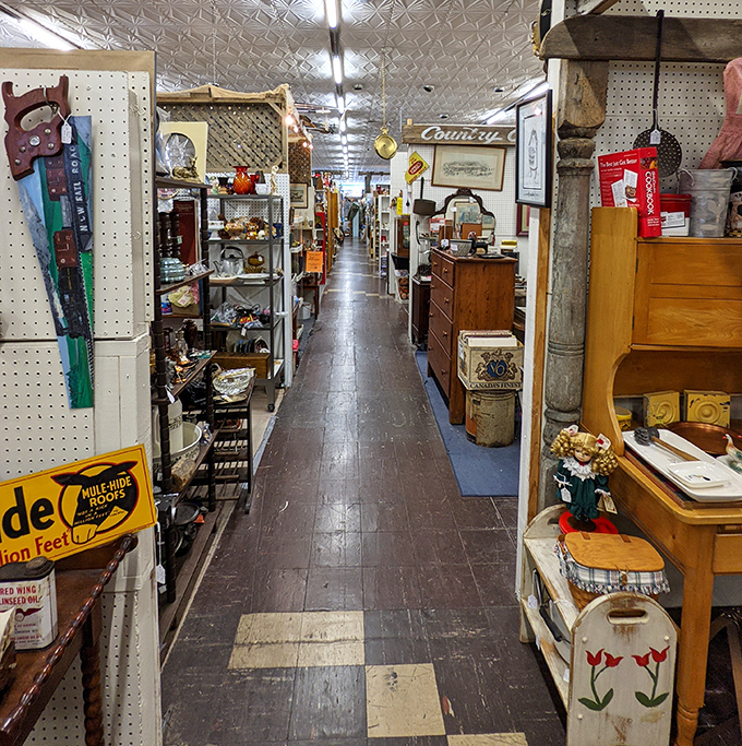 Every shelf whispers stories—part treasure hunt, part time travel, and yes, a little bit of “Antiques Roadshow” suspense.