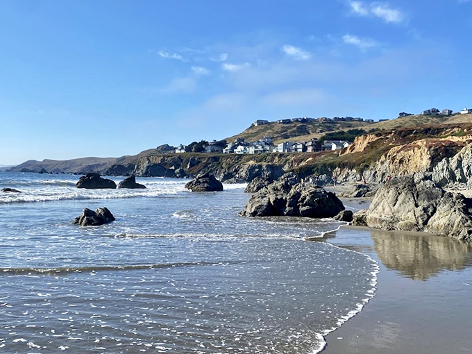 Rocky outcroppings create natural playground equipment for curious pups. Nature's obstacle course with a view that won't quit.