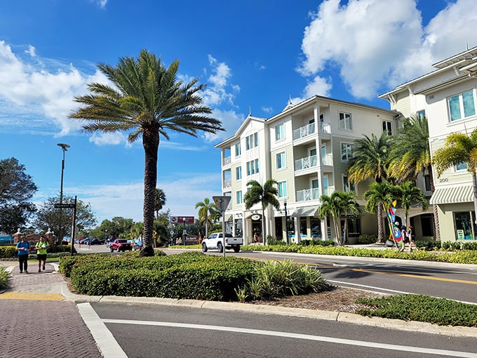 Palm trees and sunny streets make Dunedin’s downtown a vibrant place to shop dine and enjoy the laid-back atmosphere.