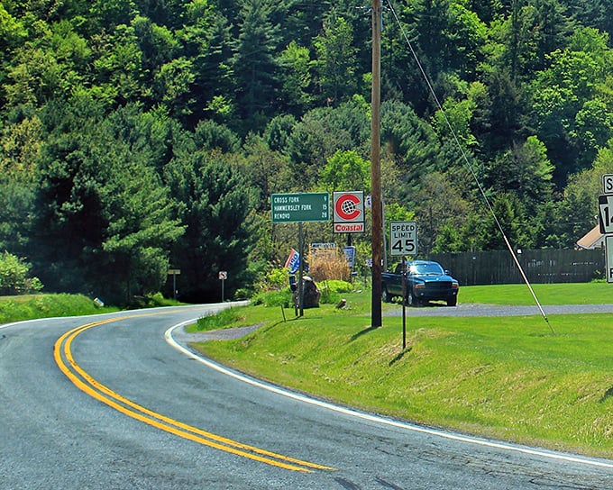 This isn't just a road—it's an emerald corridor cutting through Pennsylvania's most pristine wilderness, beckoning adventure seekers.