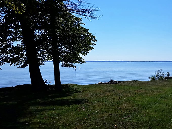 Houghton Lake's autumn glory on full display. Those trees dressed in fall colors are showing off for the camera!