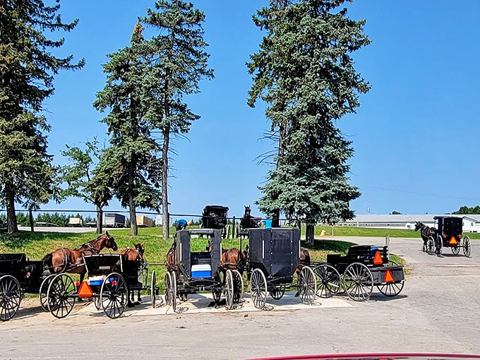 Parked buggies at a local gathering spot in Kidron – the original ride-sharing program that never needs a software update.