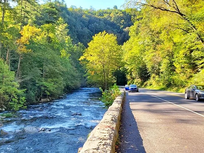 The perfect marriage of road and river—Little River Road hugs the water like they've been together for centuries.