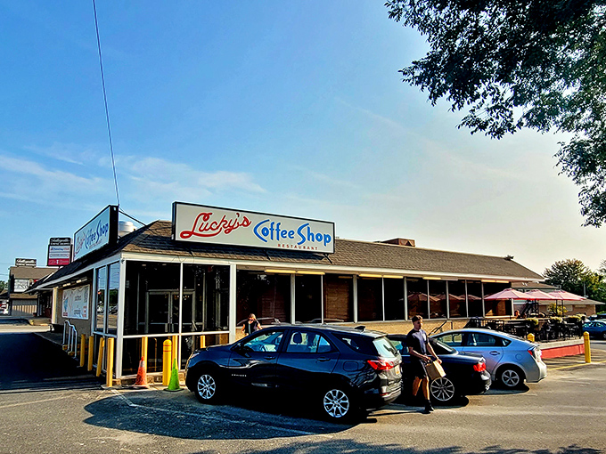 Morning light bathes this beloved breakfast spot where pancakes are measured in inches and coffee refills are practically automatic.