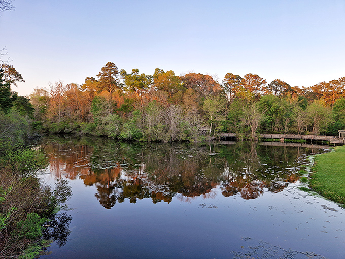 Tranquil reflections-where nature’s calm meets Southern charm in Millen.
