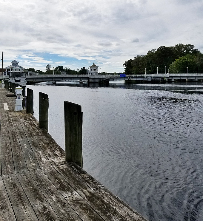 Pocomoke City's tranquil waterways offer the perfect setting for morning coffee or evening contemplation—nature's stress management program.