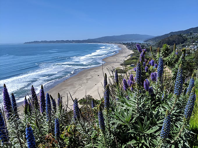 Those purple wildflowers frame the shoreline of Stinson Beach like nature's own Instagram filter – no editing required.