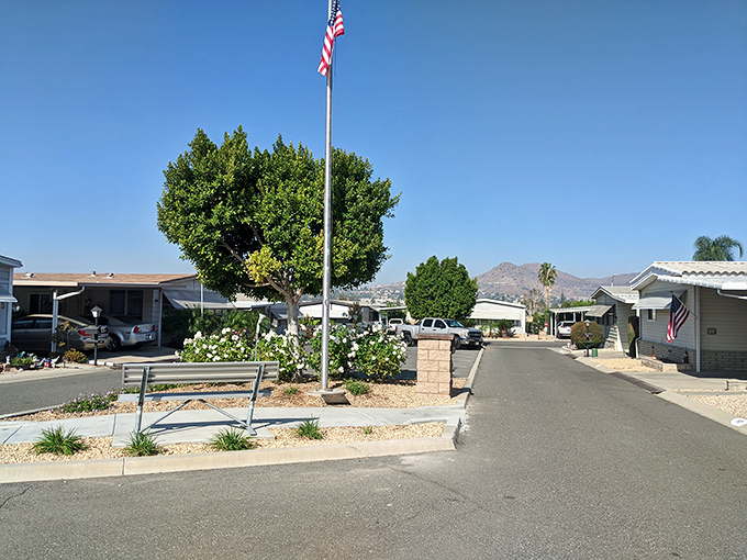 Desert-friendly landscaping keeps Villa Magnolia looking sharp without draining your water budget. Smart retirement planning starts with the right plants.