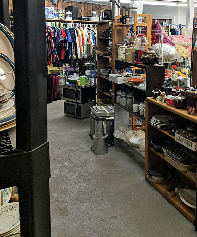 Neatly organized shelves make treasure hunting a breeze at Waldport's hidden gem of a marketplace.