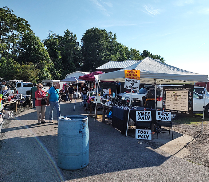 Sunlight streams through White Horse Flea Market, illuminating treasures waiting to be discovered.