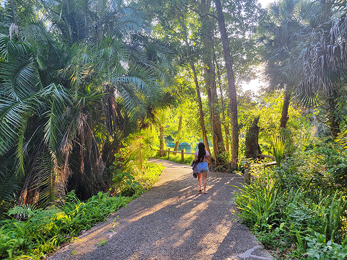Walking the path less traveled often leads to the best discoveries. This sun-dappled trail practically whispers "adventure this way."