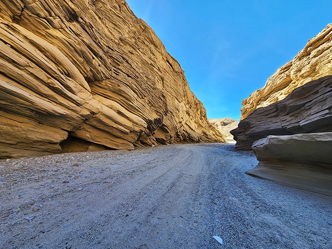 Nature's grand canyon hallway – walking through these wind-sculpted walls feels like being in Earth's most impressive art gallery.