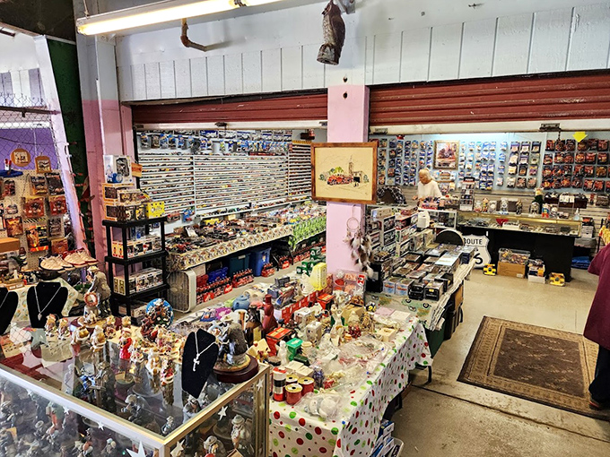 Collector's paradise! Where vintage meets variety in a delightful jumble that makes you wonder about the stories behind each carefully displayed item.
