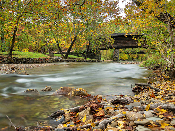 Autumn transforms the bridge into a painting come to life. The gentle flow of Dunlap Creek creates nature's perfect soundtrack for this seasonal masterpiece.