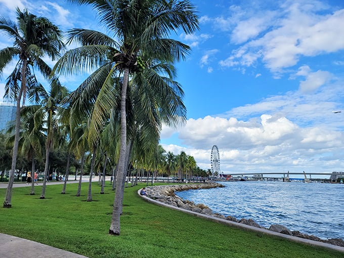 Bayfront Park's palm-lined waterfront path delivers postcard-worthy views with every step – making even the most dedicated couch potatoes consider jogging.