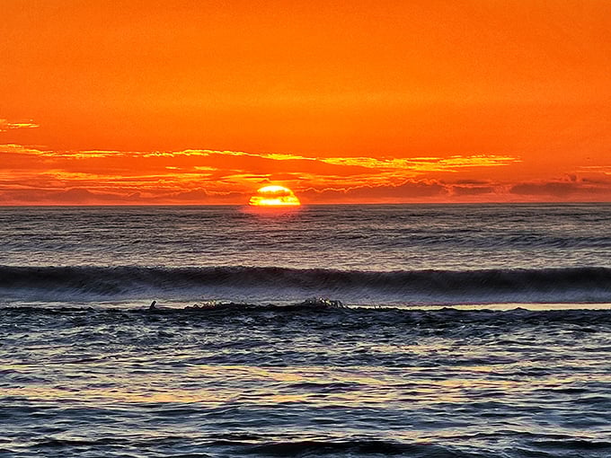 Florida sunsets don't just end days—they celebrate them. This fiery spectacle over the Atlantic happens nightly, no tickets necessary.
