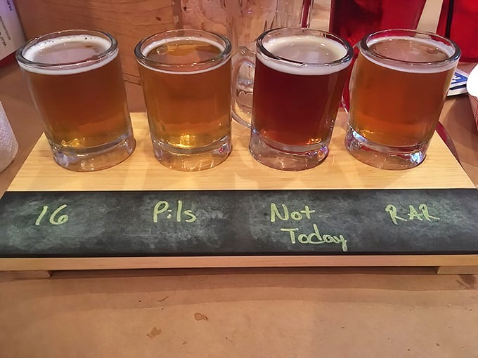 A flight of local brews—liquid research for thirsty scholars. Each sip tells a different story about Delaware's craft beer renaissance.