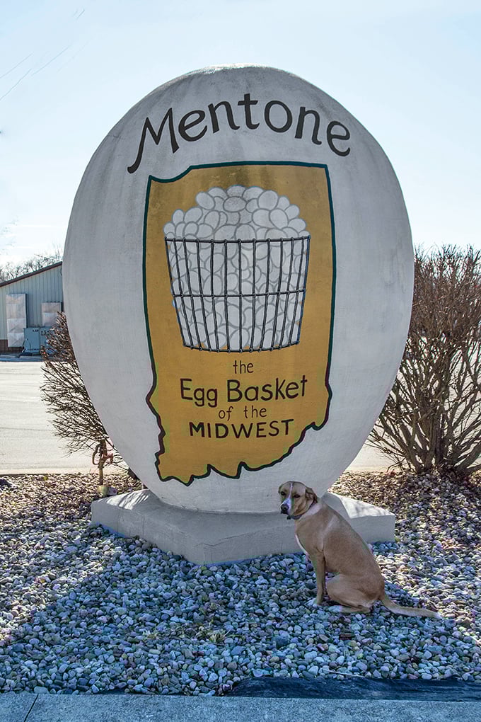 Even four-legged visitors seem impressed by the egg's grandeur – or perhaps they're just wondering if it might hatch.